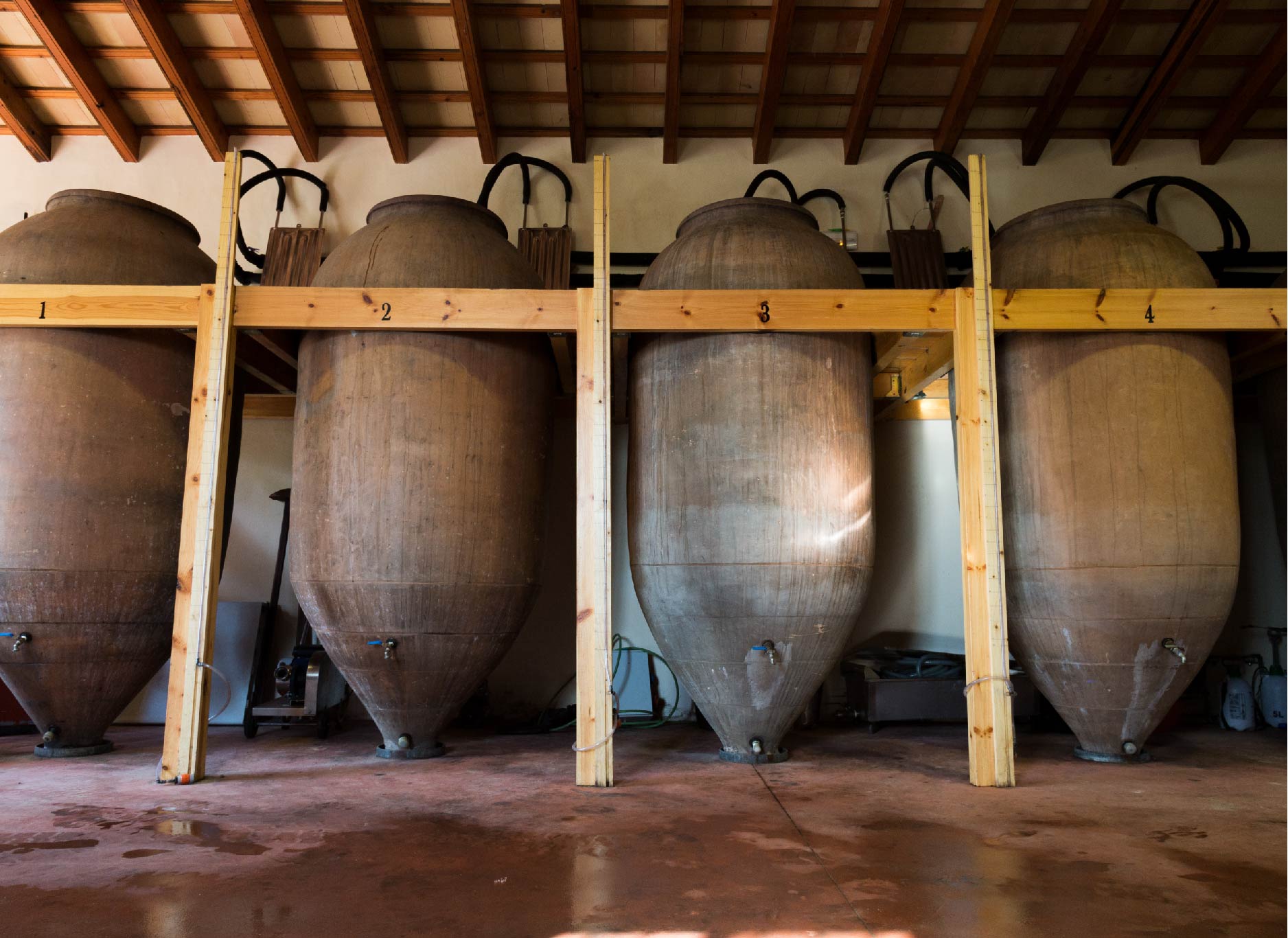 Bodega de Forlong - Gusto Cádiz